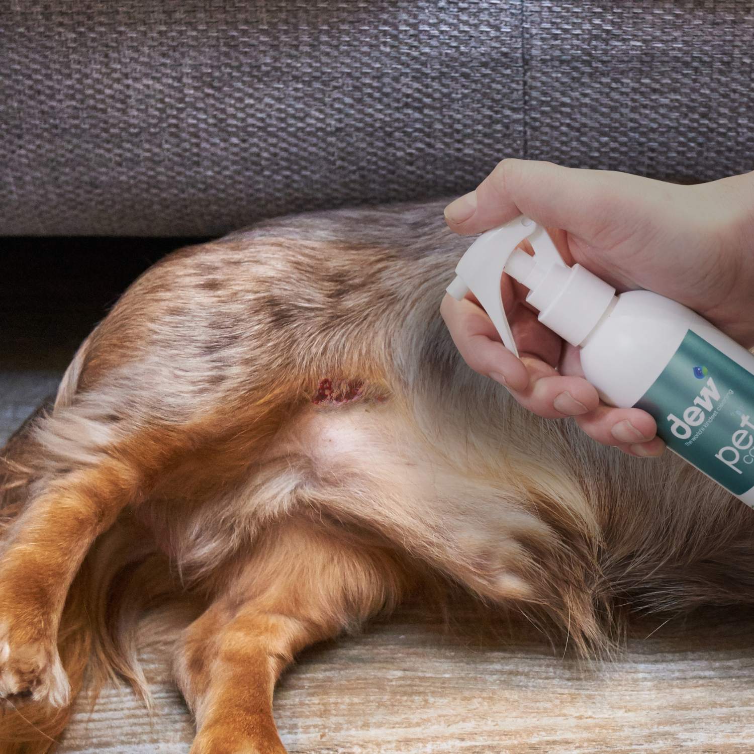 DEW FIRST AID SPRAY FOR PETS 250ML - Paidologio Shop